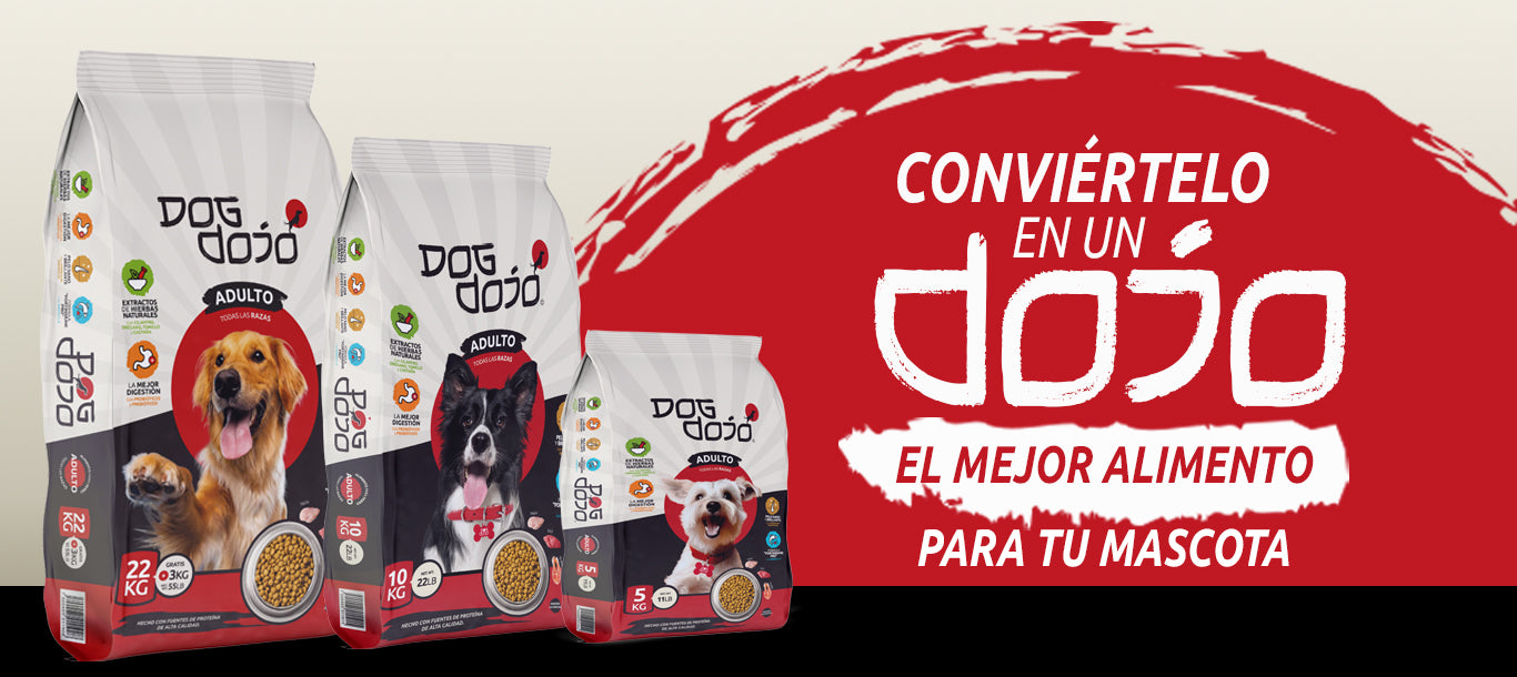 Dog Dojo – Fortipet MX